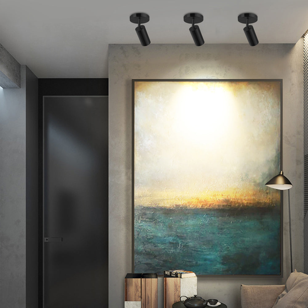 Monty Ceiling or Wall – Maxilite Lighting