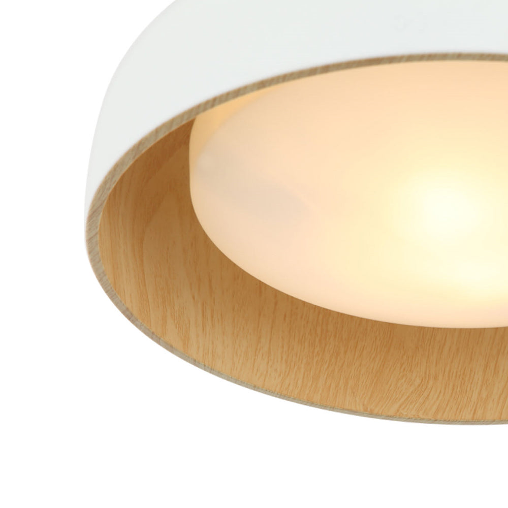 Callaghan 20″ – Maxilite Lighting